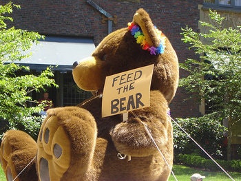 Feed The Bear tour dates & tickets 2025 | Ents24