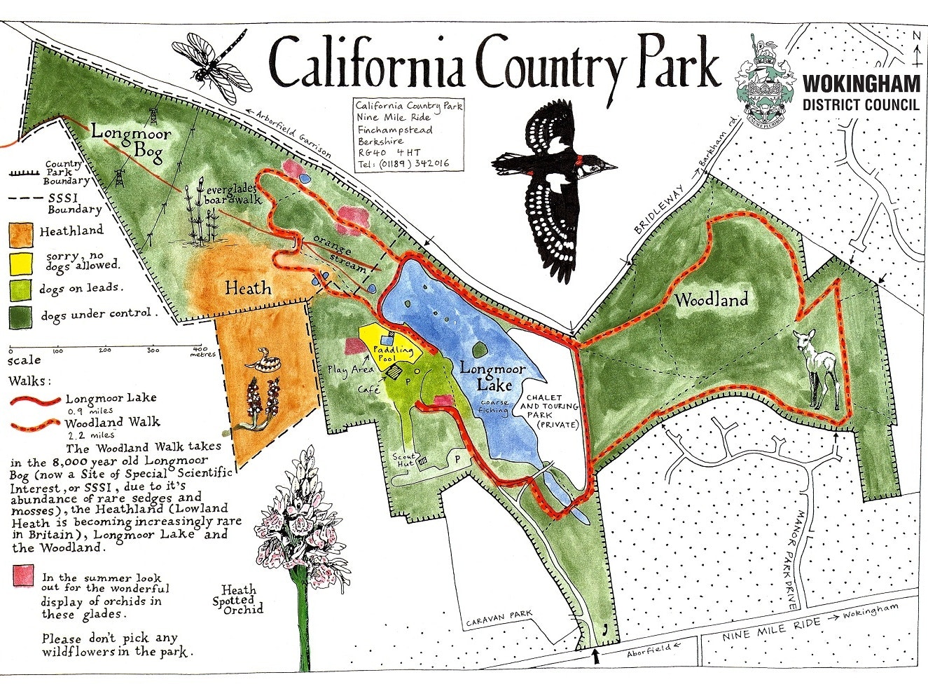 California Country Park - and New Play Area! - What the Redhead said