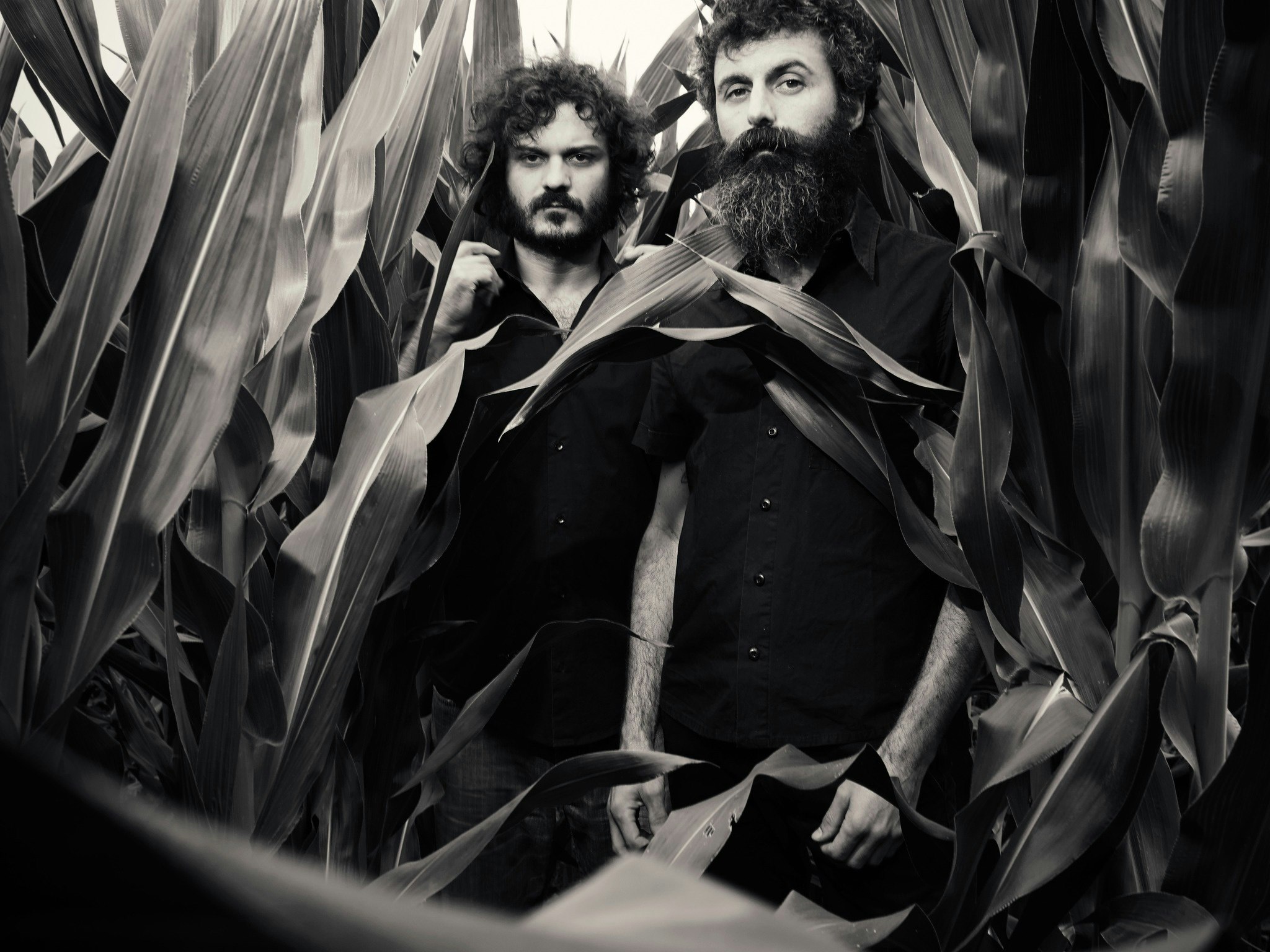 Zeus! tour dates & tickets 2025 | Ents24