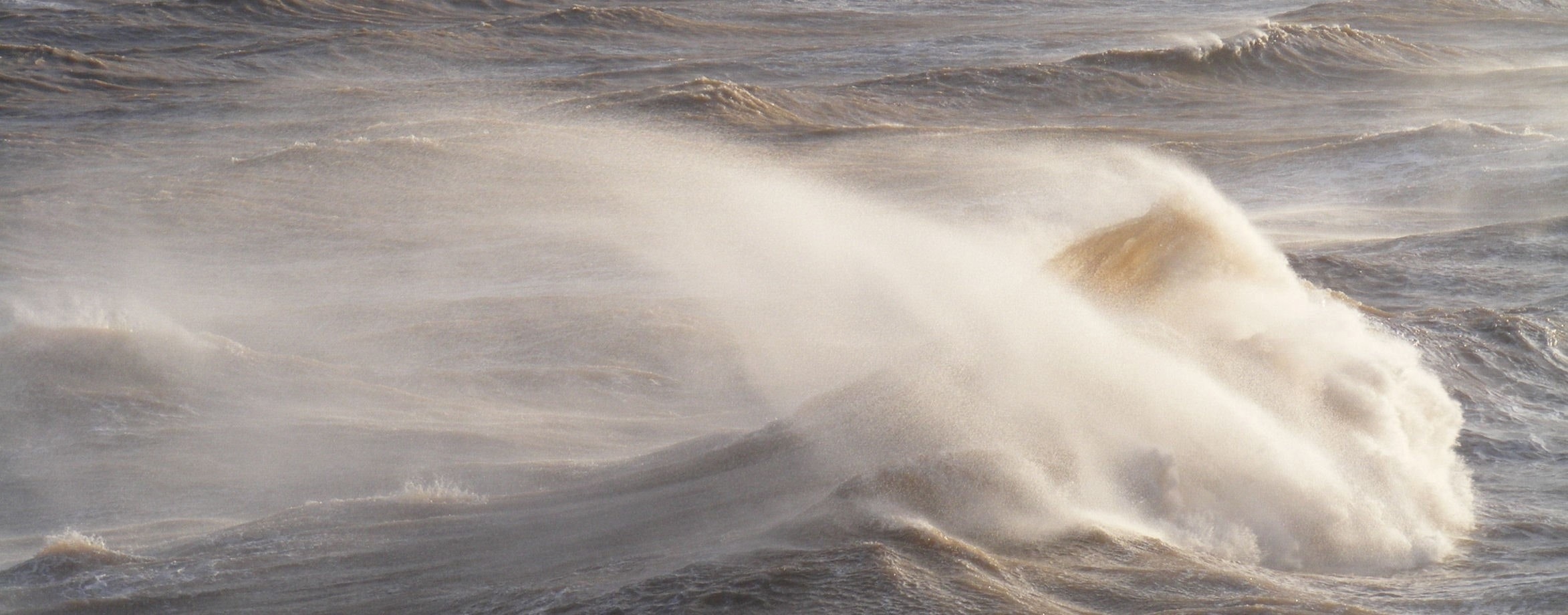 Jamie Leo Oliver tour dates & tickets 2025 | Ents24