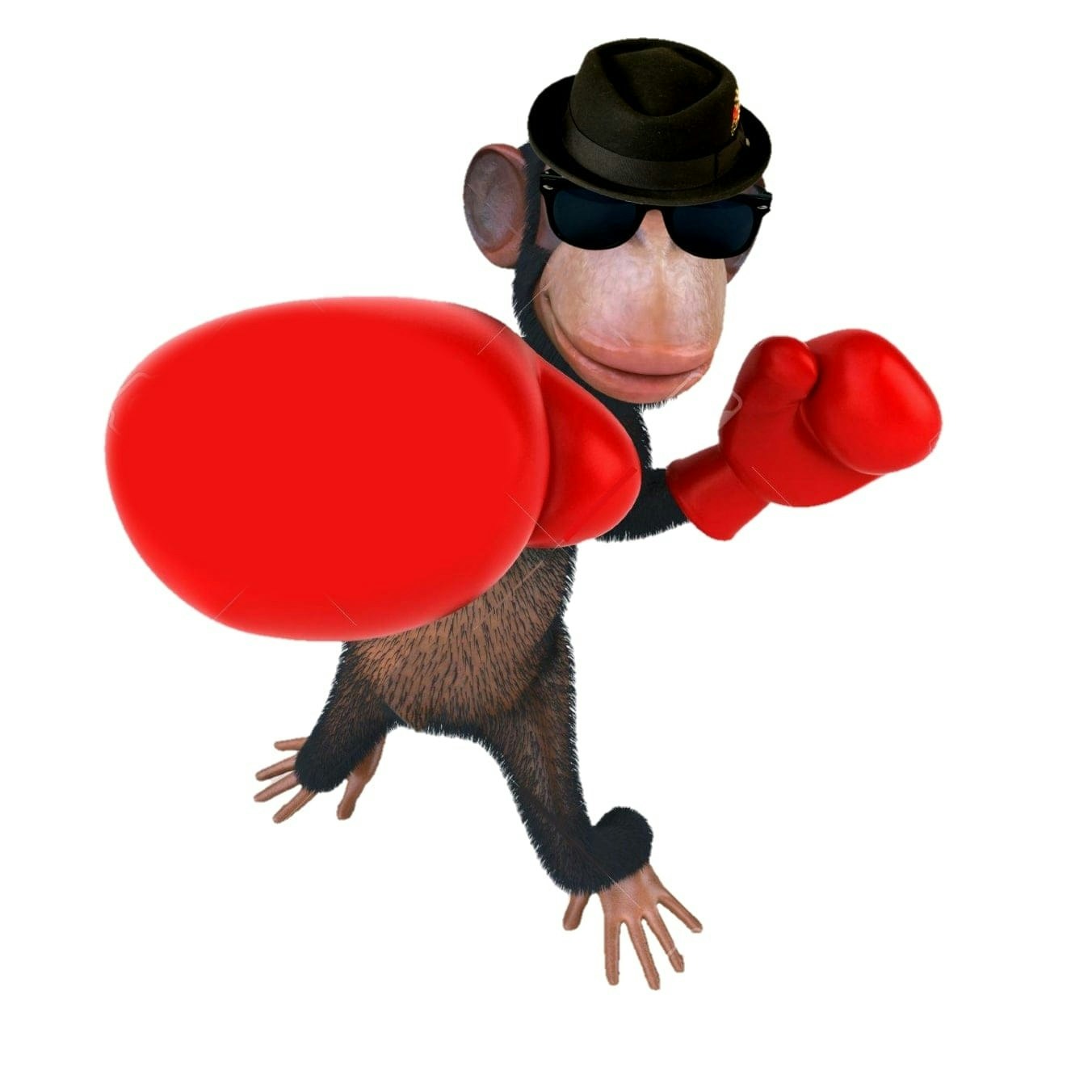 Monkey Punch tour dates & tickets 2024 | Ents24