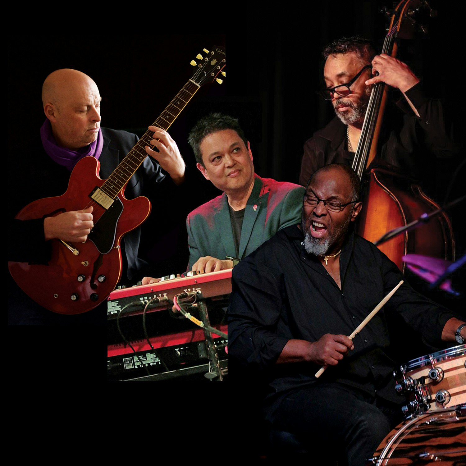 The Stompin' Dave Quartet tour dates & tickets 2024 | Ents24