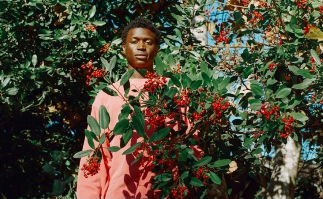 Mon Rovia tour dates & tickets 2025 - 2026 | Ents24